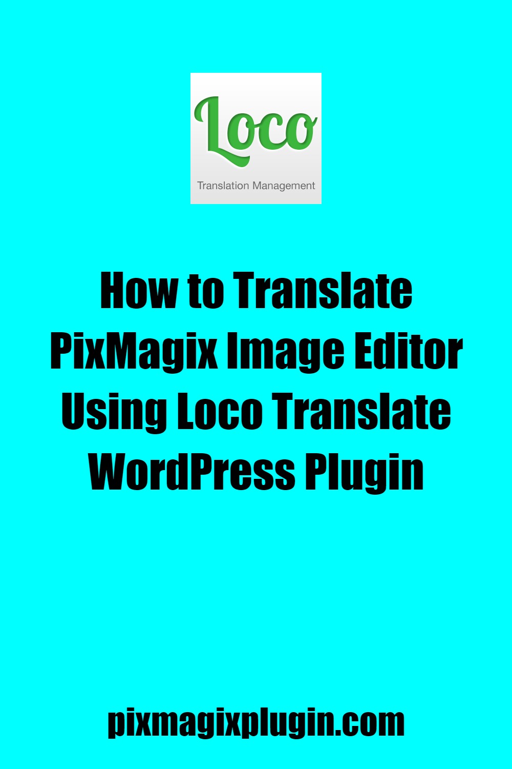 How to Translate PixMagix Using Loco Translate Plugin - PixMagix